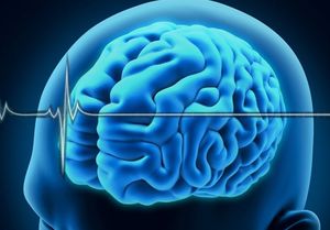 قسمت جدیدی در مغز انسان کشف شد