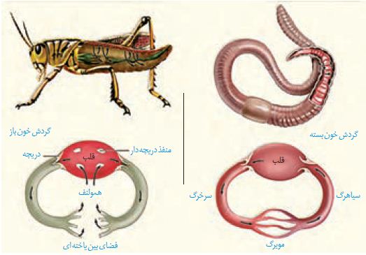 یادگیری کامنتی (گردش مواد) به انتخاب مهدی خداوندلو آزمون 2/26