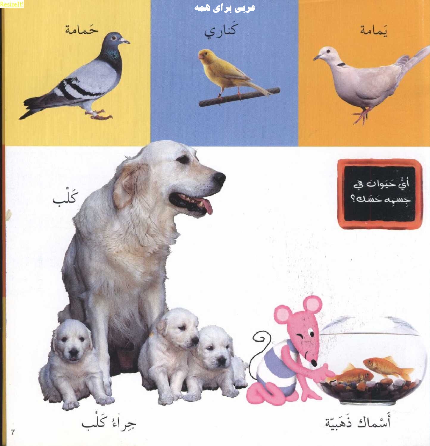 مزرعه حیوانات به زبان عربی (2)