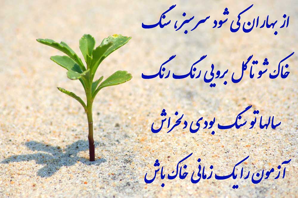 هفت‌سینِ موفقیّت